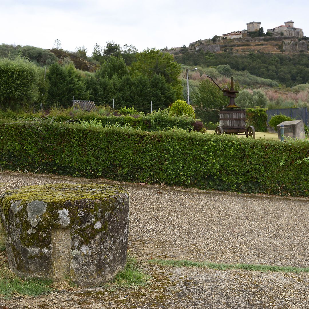 Colores de Otoño en Gargalo (Introducción práctica a la fotografía y c ...